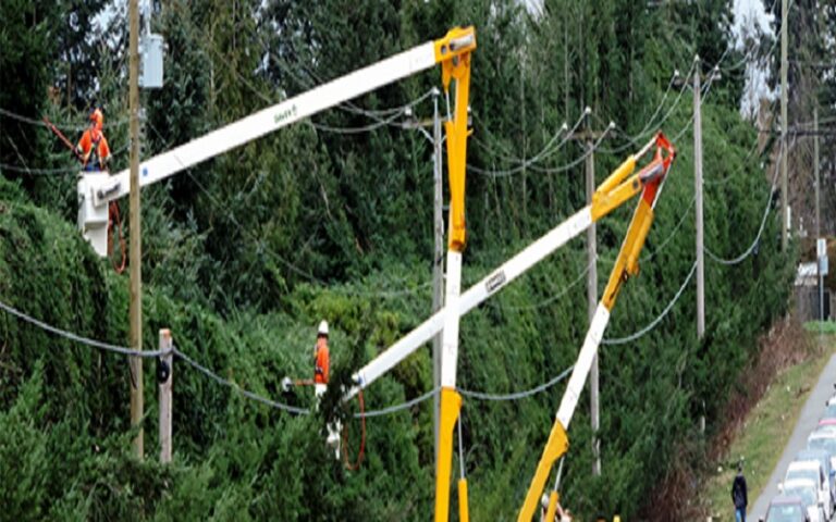 What Should I Do if My Tree Is Touching a Power Line ...